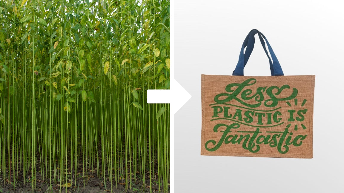 How Jute is Grown and Made into a Reusable Bag - Lotus Sustainables