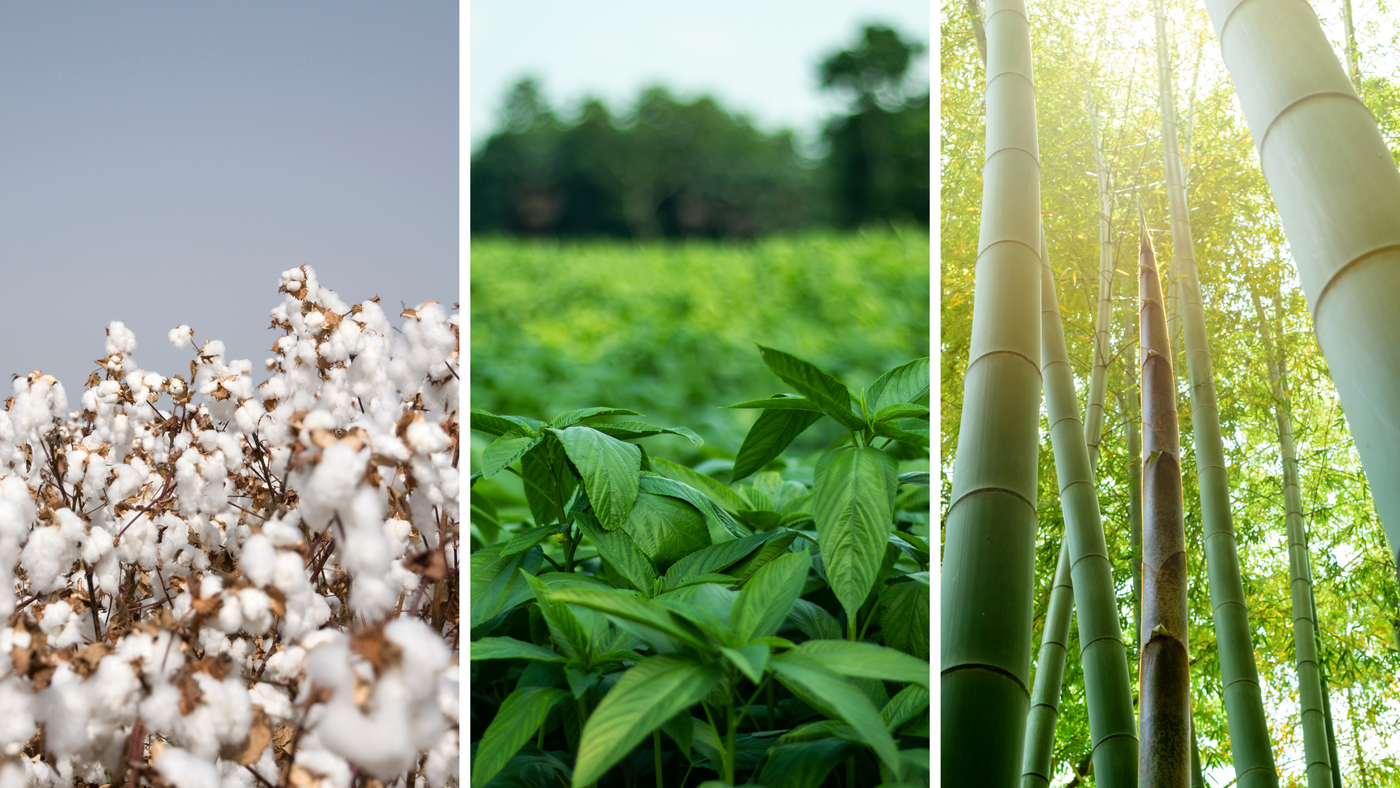 What Are Renewable Resource Bags? - Lotus Sustainables